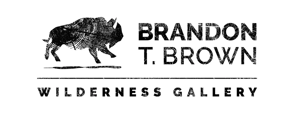 Brandon T. Brown Wilderness Gallery - Bison Courtyard